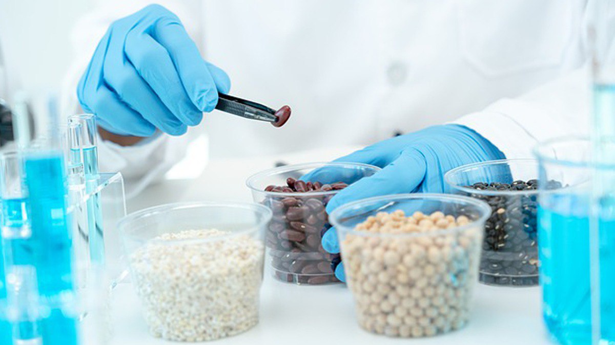 Oscillum: el nuevo invento que detecta si la comida está en buen estado