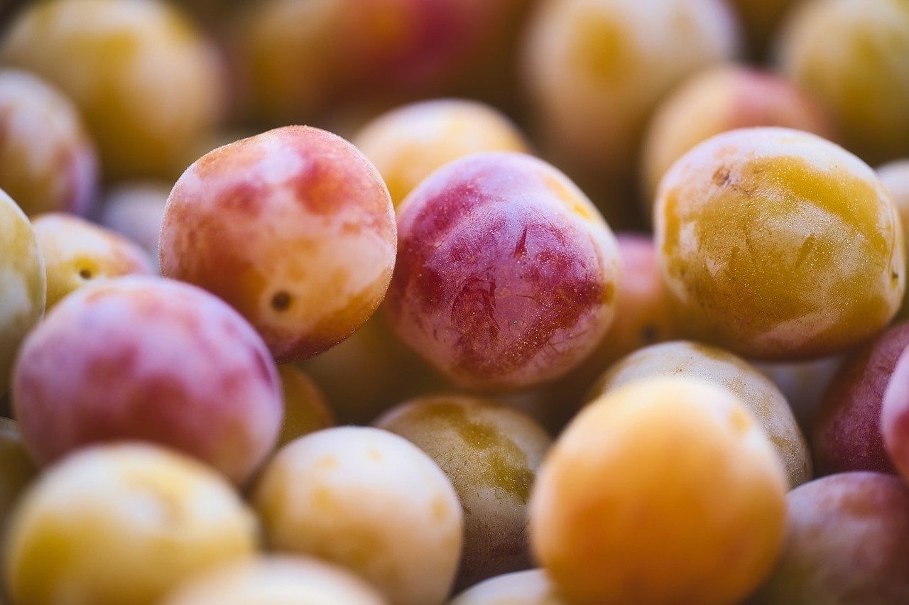Esta es la mejor fruta para combatir el estreñimiento gracias a su ...