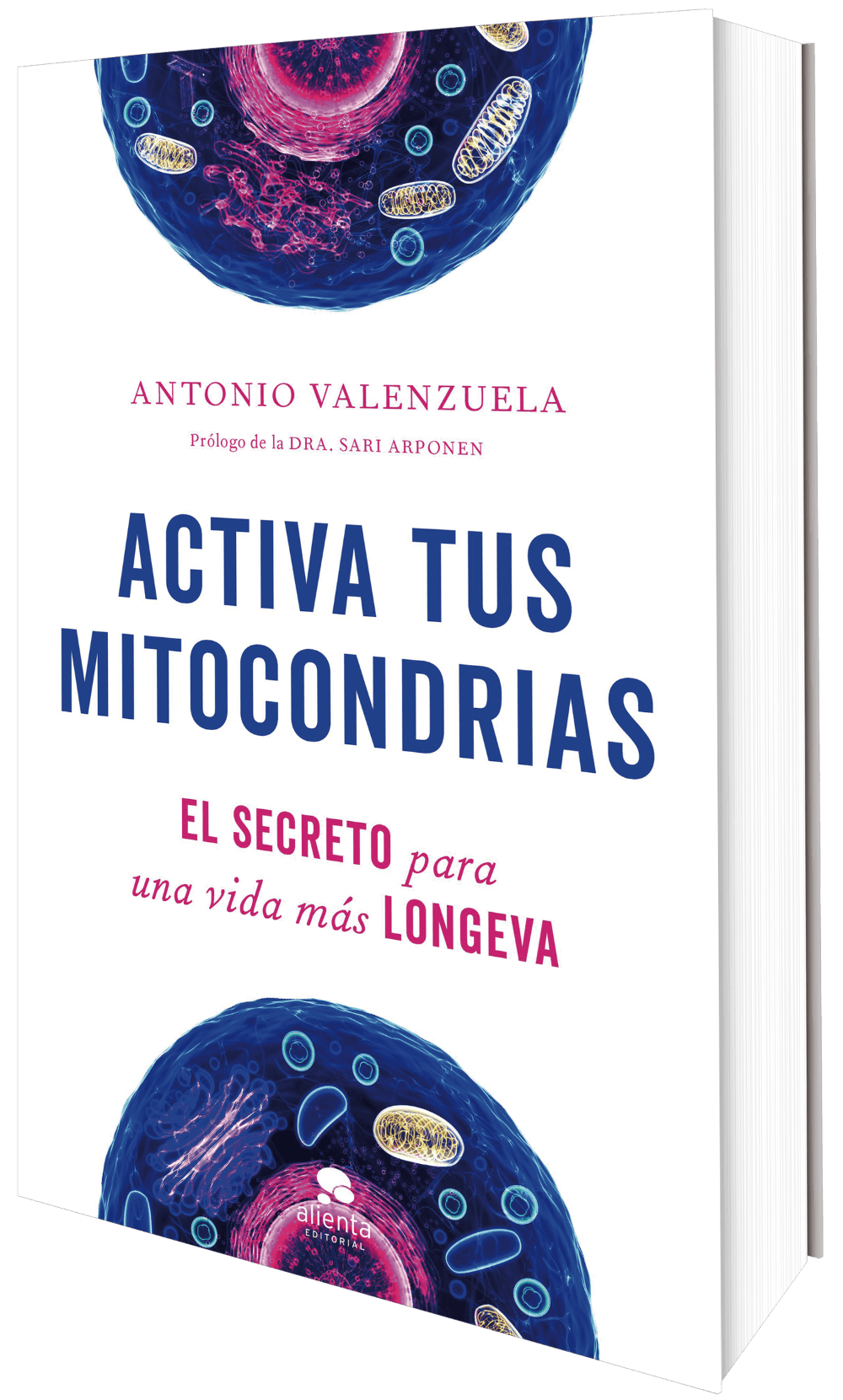 Cómo activar tus mitocondrias para tener una vida más longeva: ocho ...