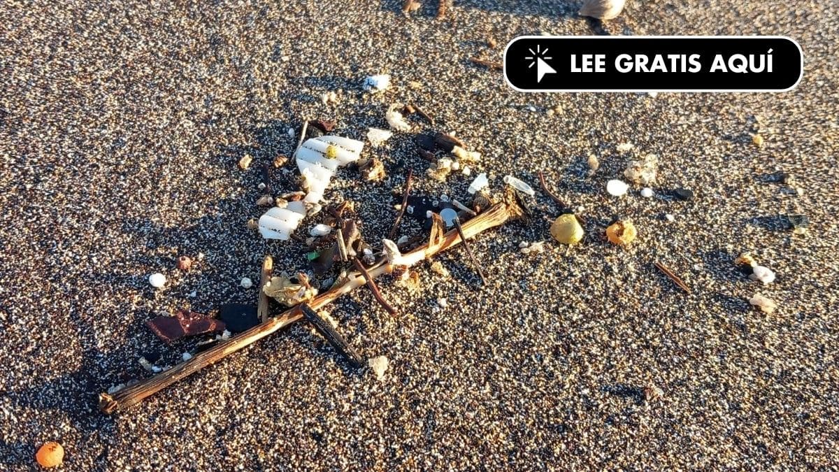 La ONU advierte del daño de los microplásticos y 'pellets' en humanos y ...