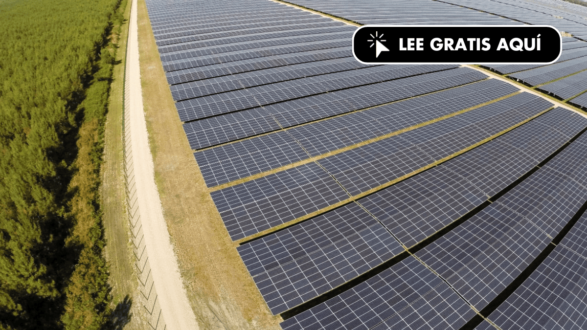 El sector solar quiere incentivos fiscales para atraer fábricas y ...