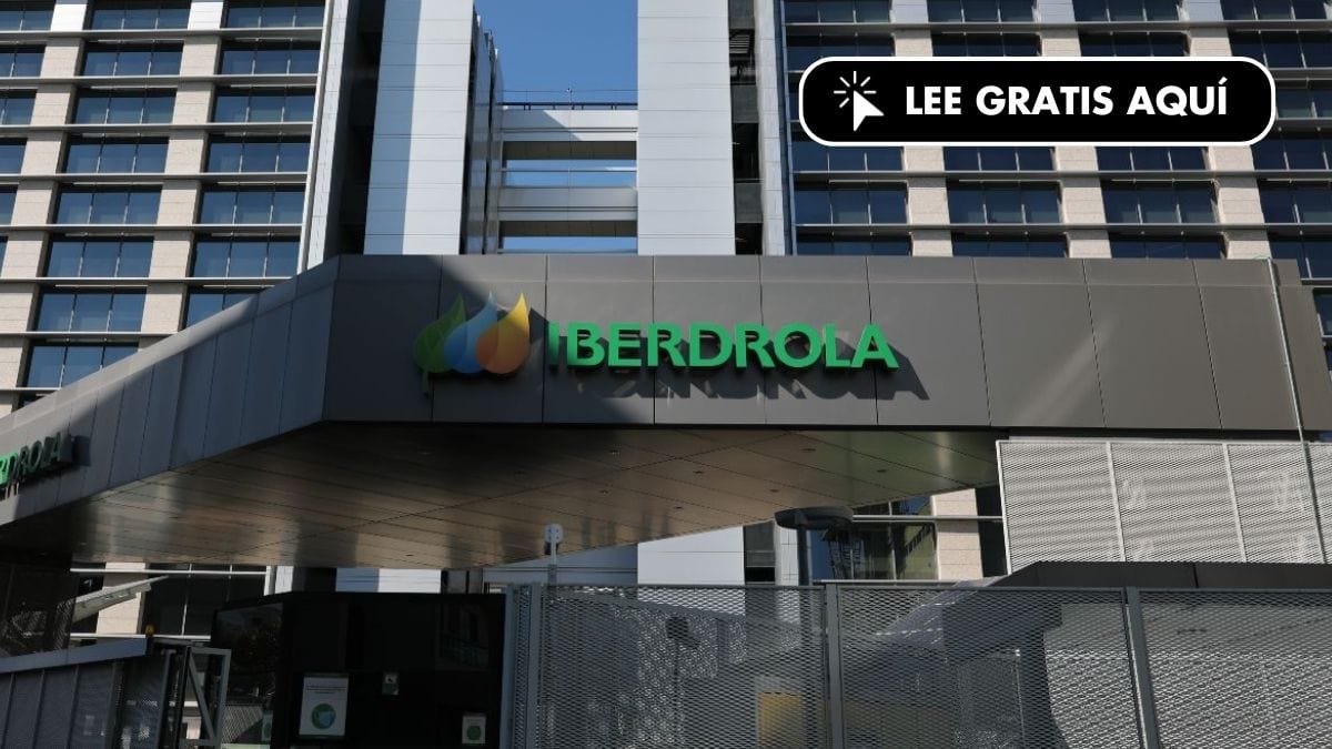 El exdirectivo de Iberdrola Del Olmo irá a juicio por el robo de ...