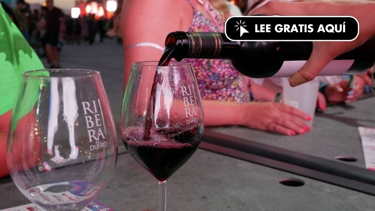 Seis vinos de la Ribera del Duero poco o nada conocidos