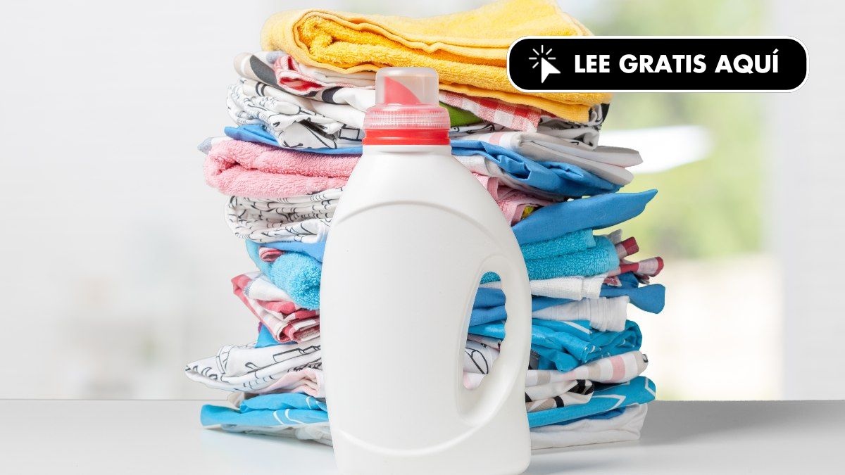 Los seis mejores detergentes para cuidar tu ropa, según la OCU