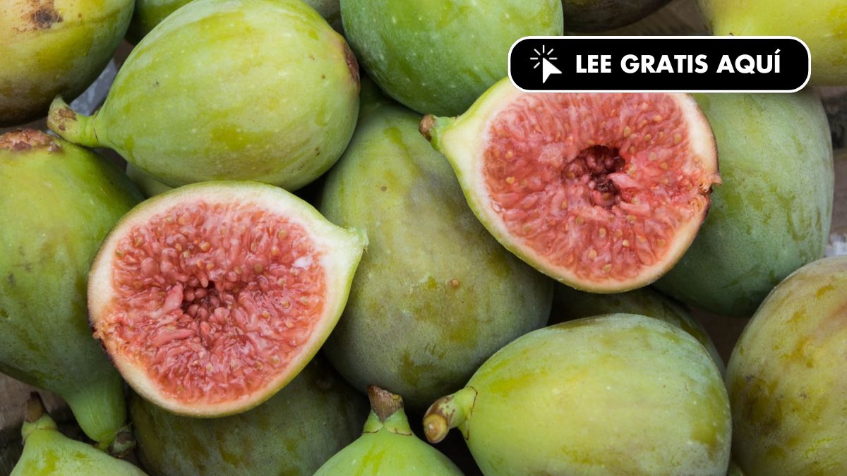 ¿Qué beneficios tienen los higos?