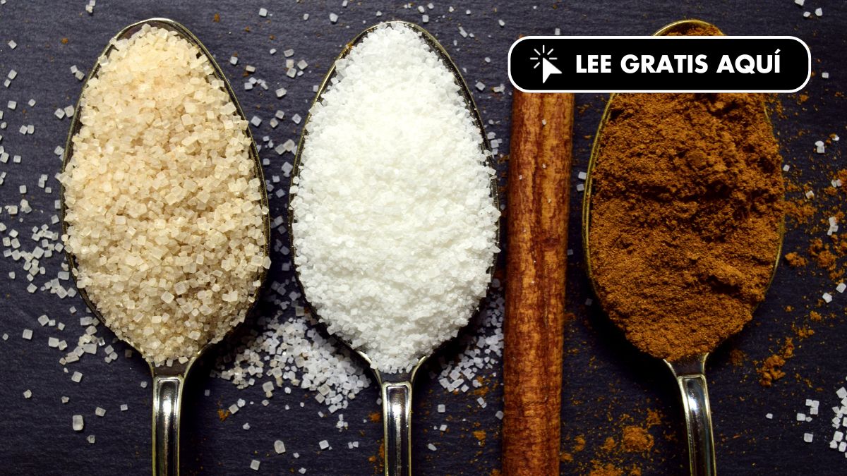 ¿Es saludable el azúcar mascabado? Diferencias con el azúcar normal