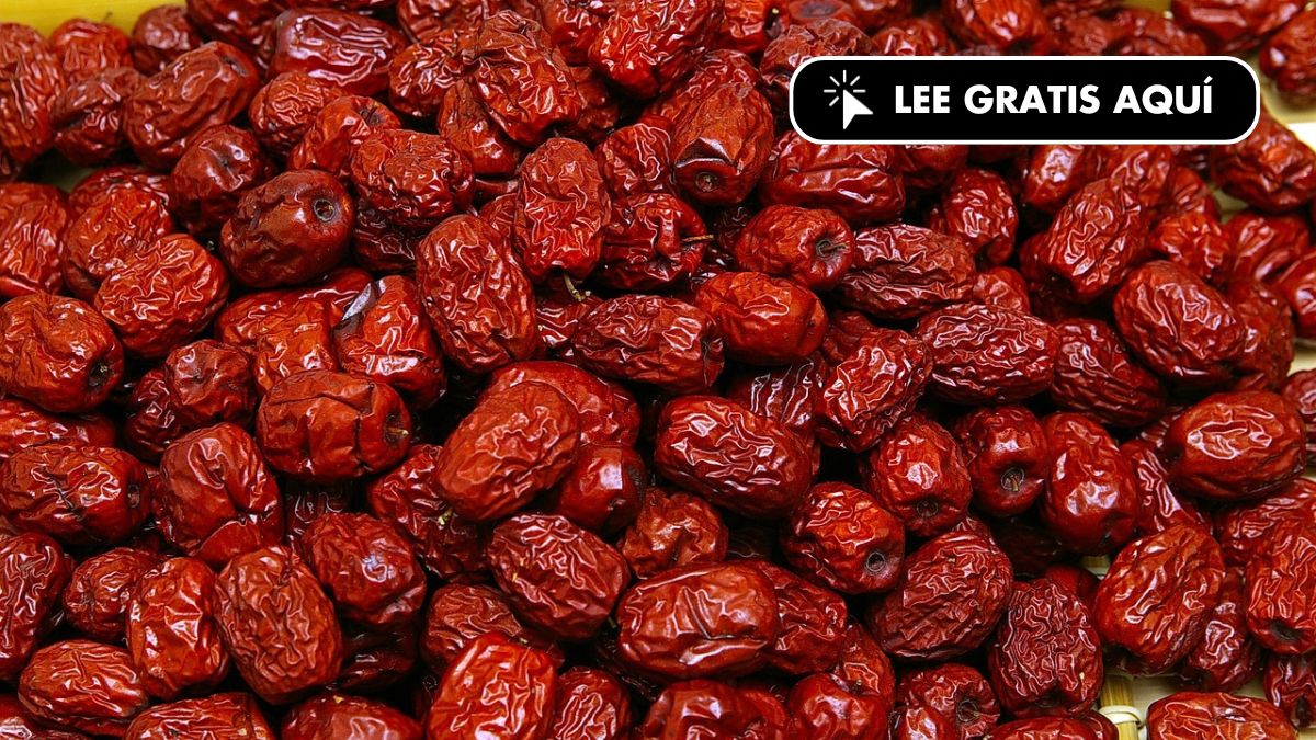 ¿Qué es la azufaifa y para qué sirve?