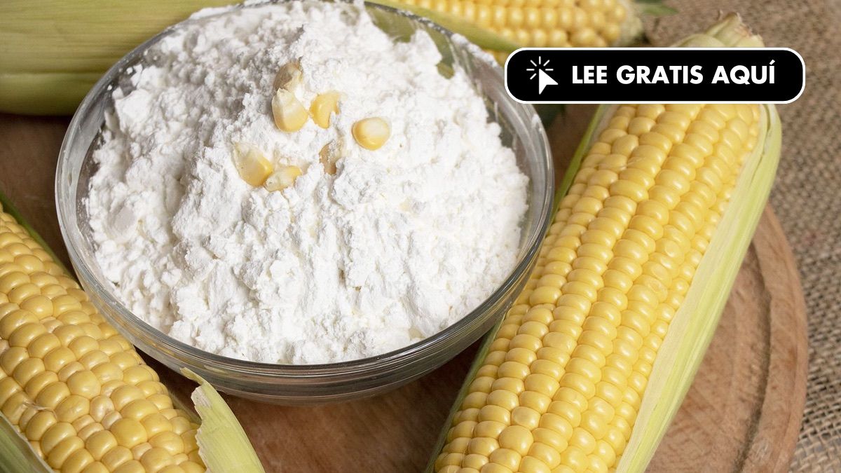 ¿Qué diferencia hay entre la maicena y la fécula de maíz?
