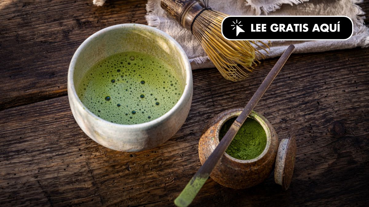 ¿Cómo elegir un té matcha y qué tipos existen?