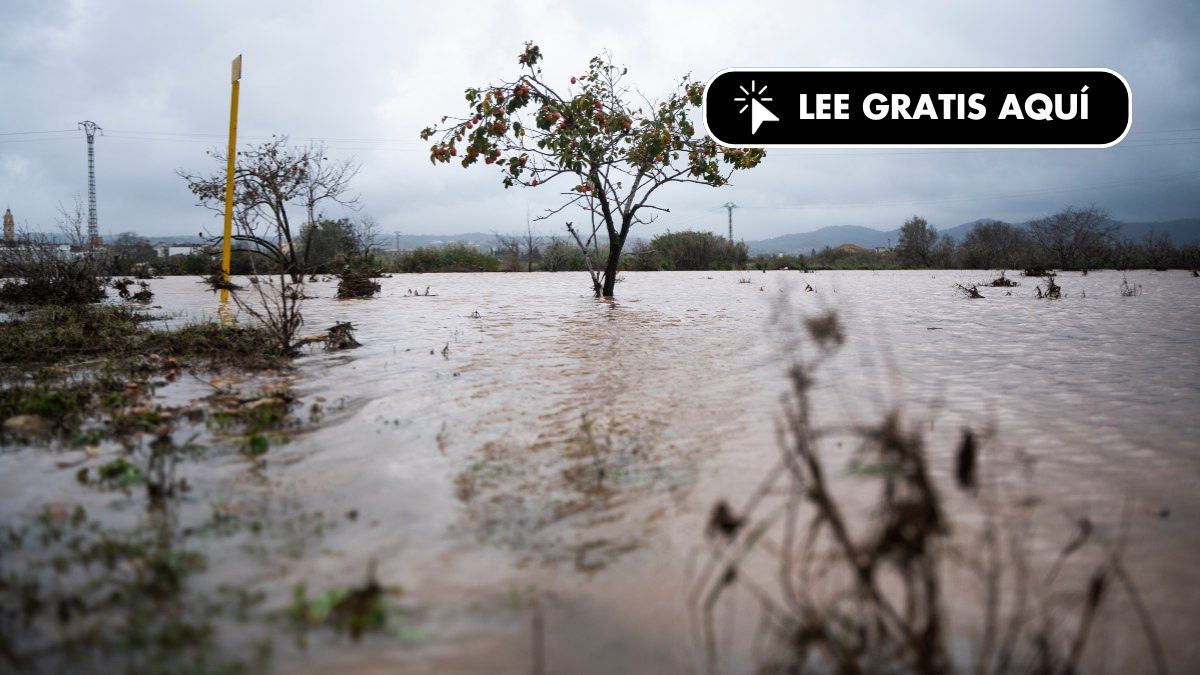 El temporal obliga a interrumpir la línea de AVE que une Madrid y Valencia