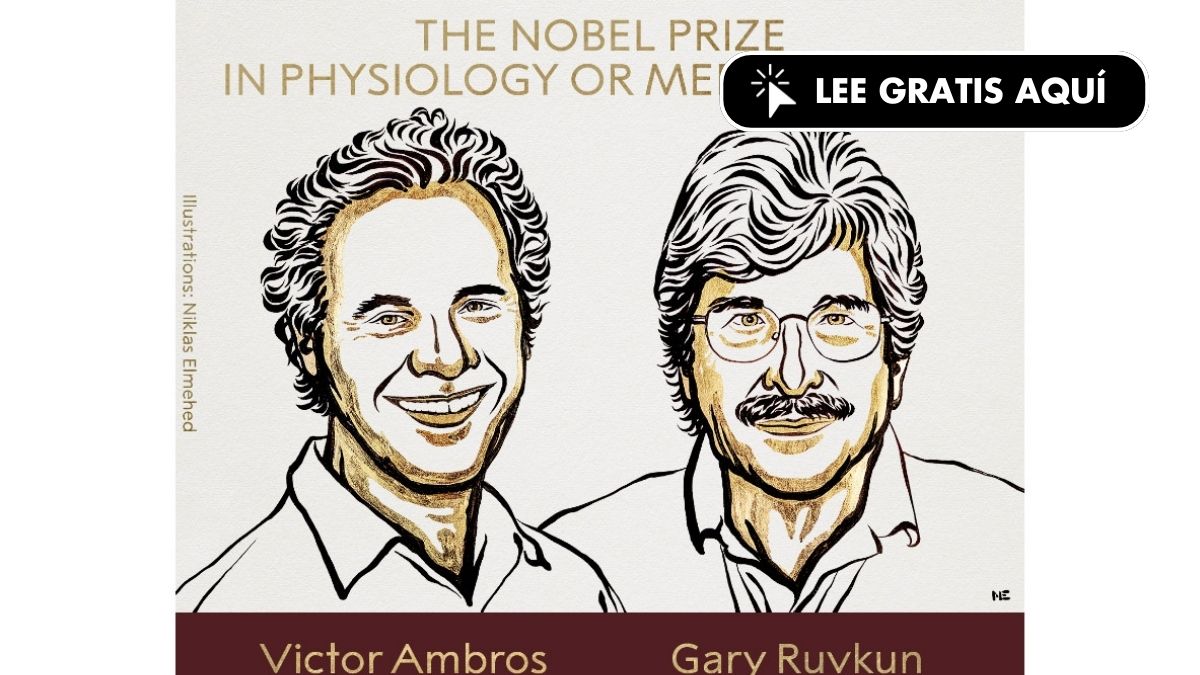 Victor Ambros y Gary Ruvkun, Nobel de Medicina por su descubrimiento ...