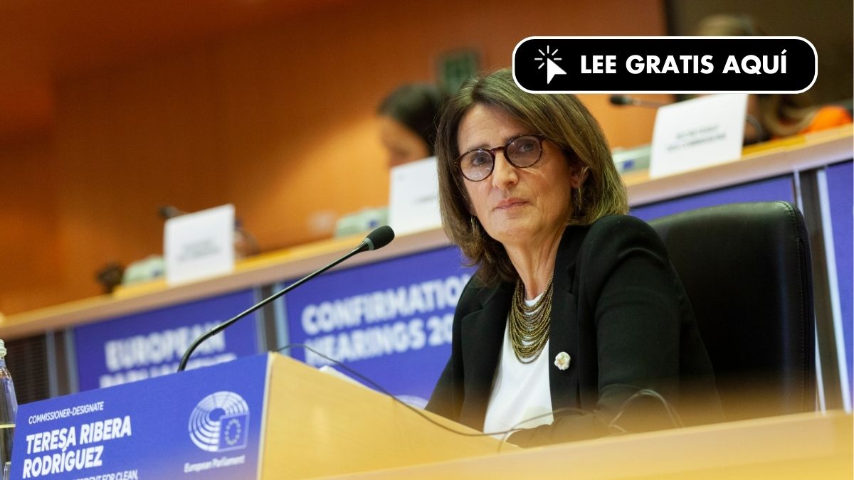 La Justicia exigió siete veces a Ribera que explicara la sanción a una ...