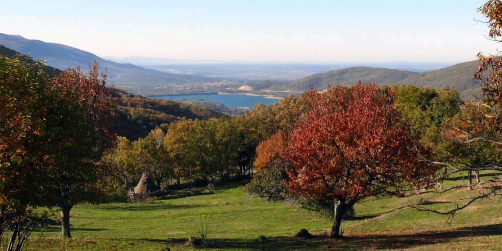 Otoño Mágico: las actividades que hacer en el Valle del Ambroz
