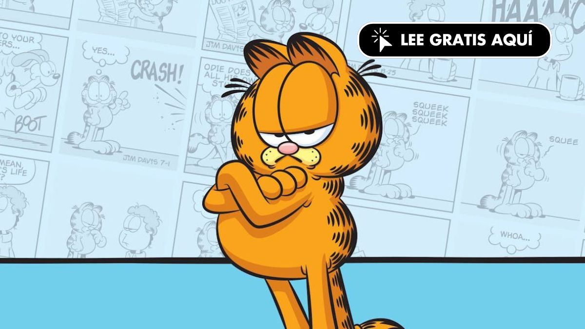 Resuelto el misterio del gato Garfield