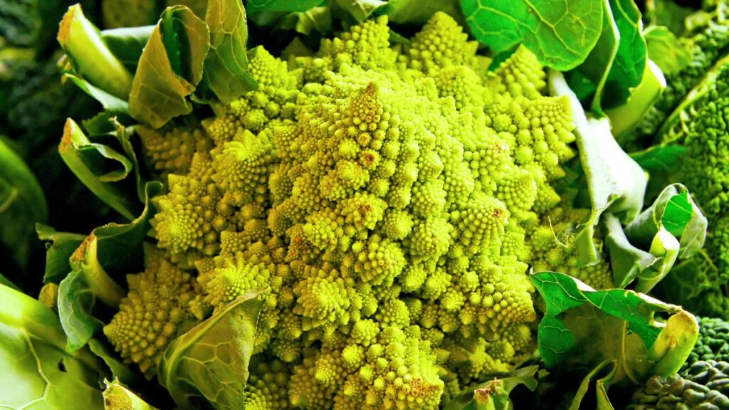 Romanescu: propiedades, beneficios para la salud y formas de preparación