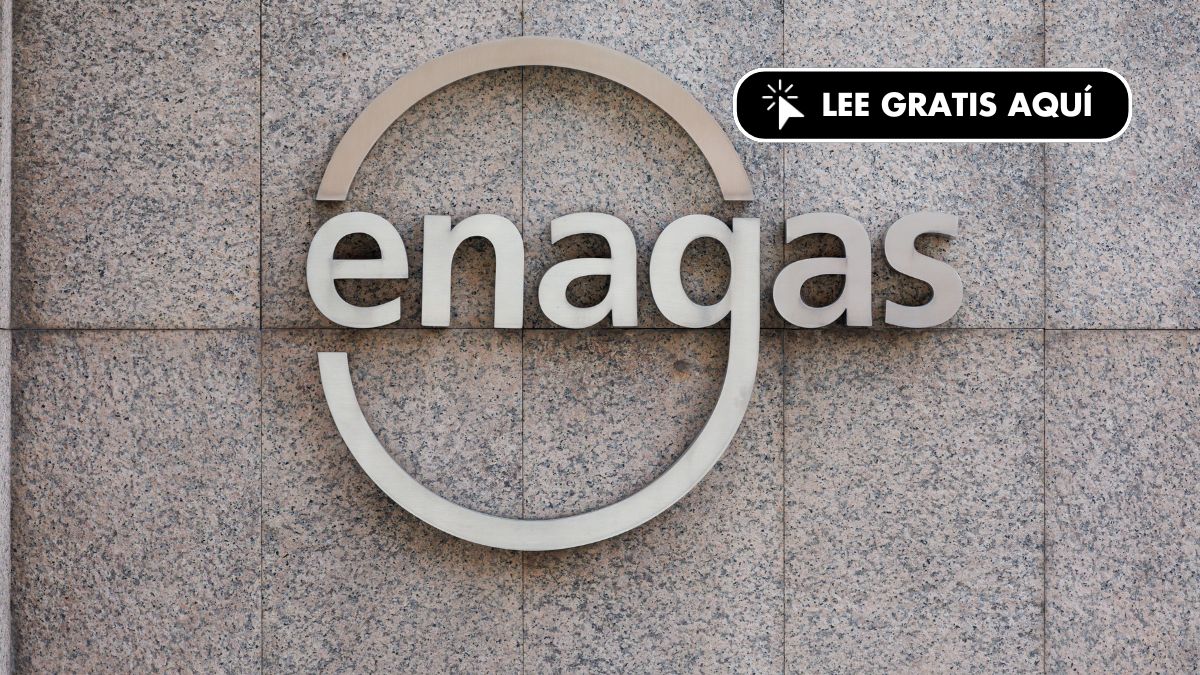 Enagás registró pérdidas de 299 millones en 2024 debido al crecimiento ...