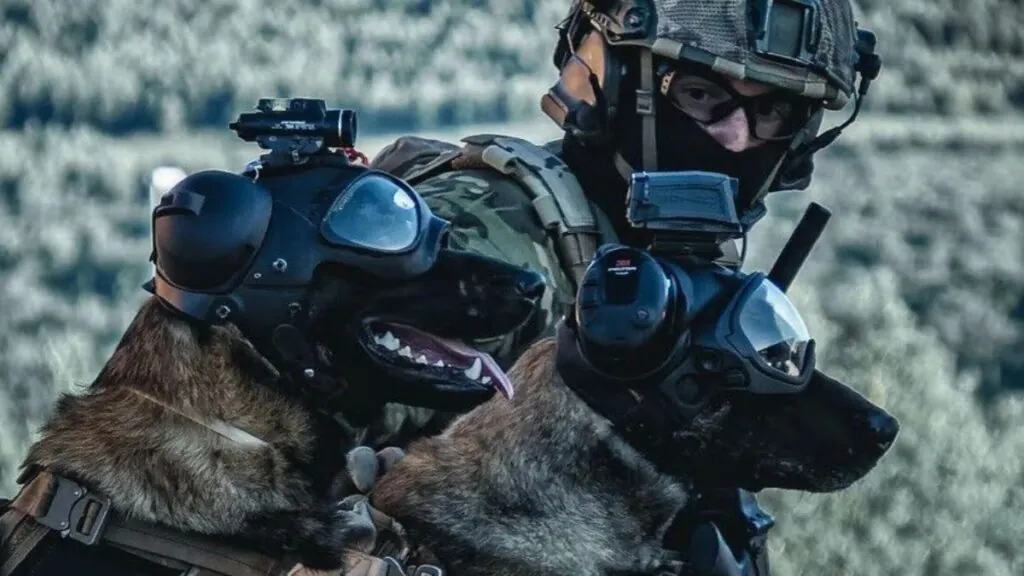 Zero, el soldado español de cuatro patas que lucha contra el Estado ...