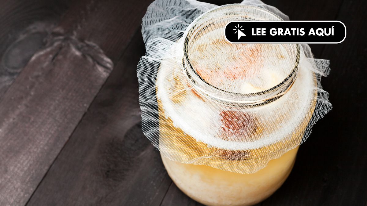 Kéfir de agua: descubre qué es, sus beneficios y por qué deberías ...