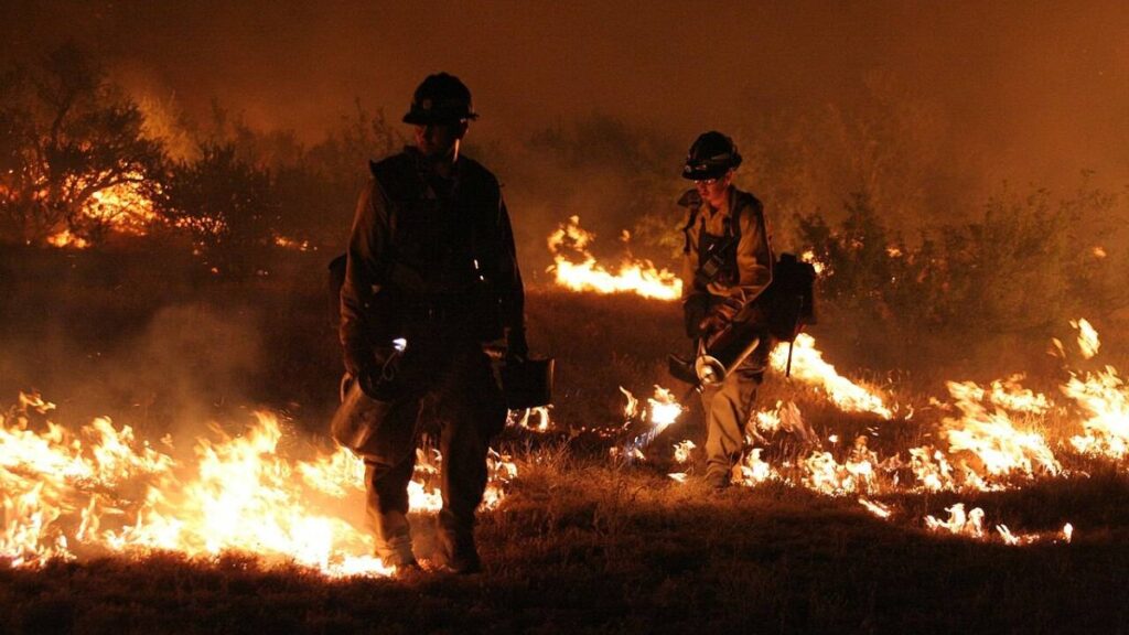 Incendios buenos: la paradoja del fuego provocado que beneficia al bosque
