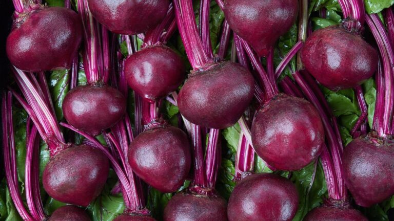 Propiedades de la remolacha roja: el superalimento que no puede faltar ...