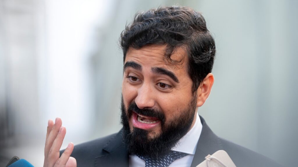 Alvise no se presentará a las elecciones en Andalucía si Vox acepta ...