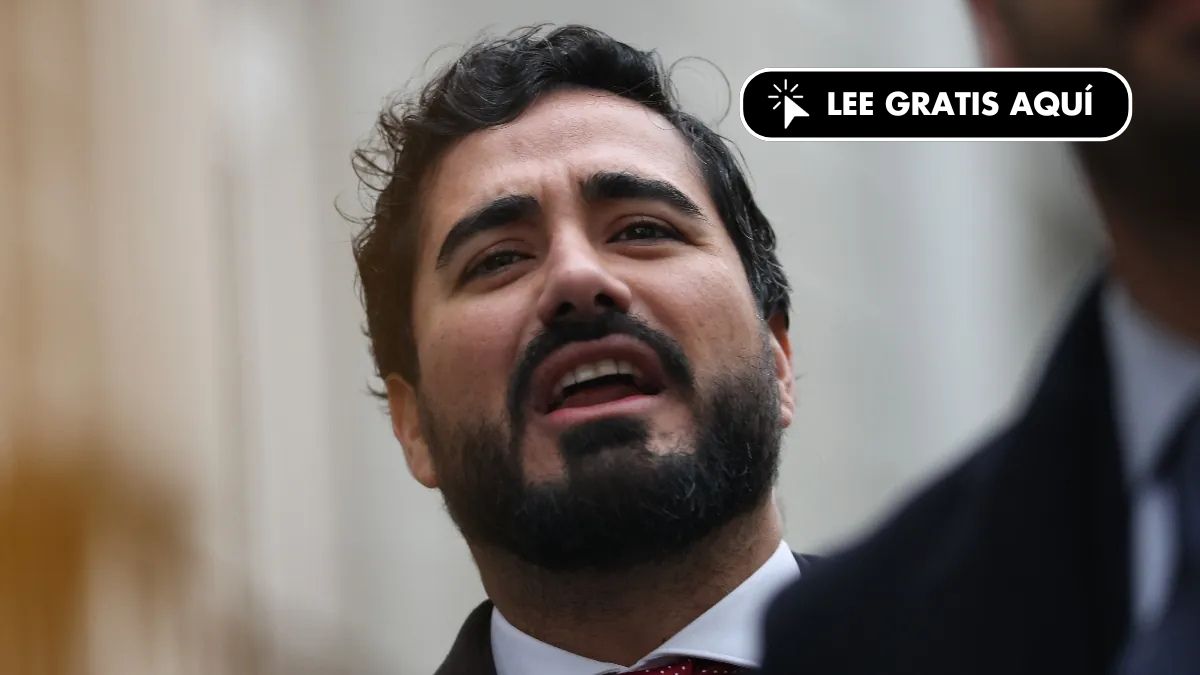 Alvise se presenta a las elecciones en Castilla y León tras rozar el ...